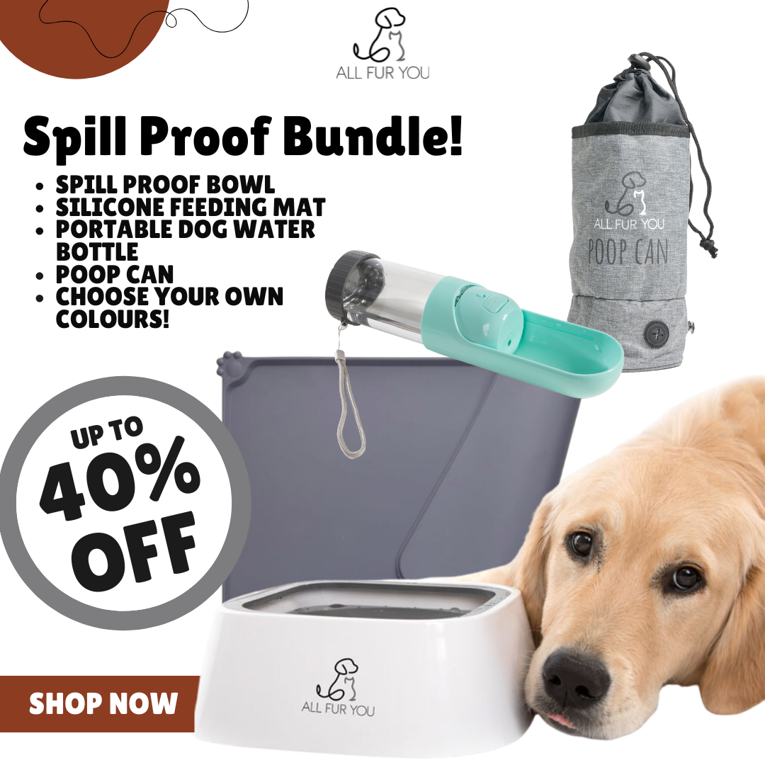 Spill Proof Bundle – All Fur You Store