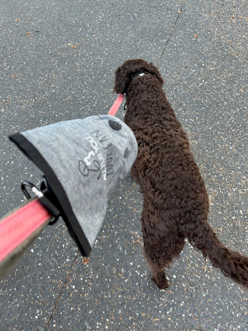 Portable Dog Poop Bag Carrier and Dispenser - Available @ Pet Circle ...